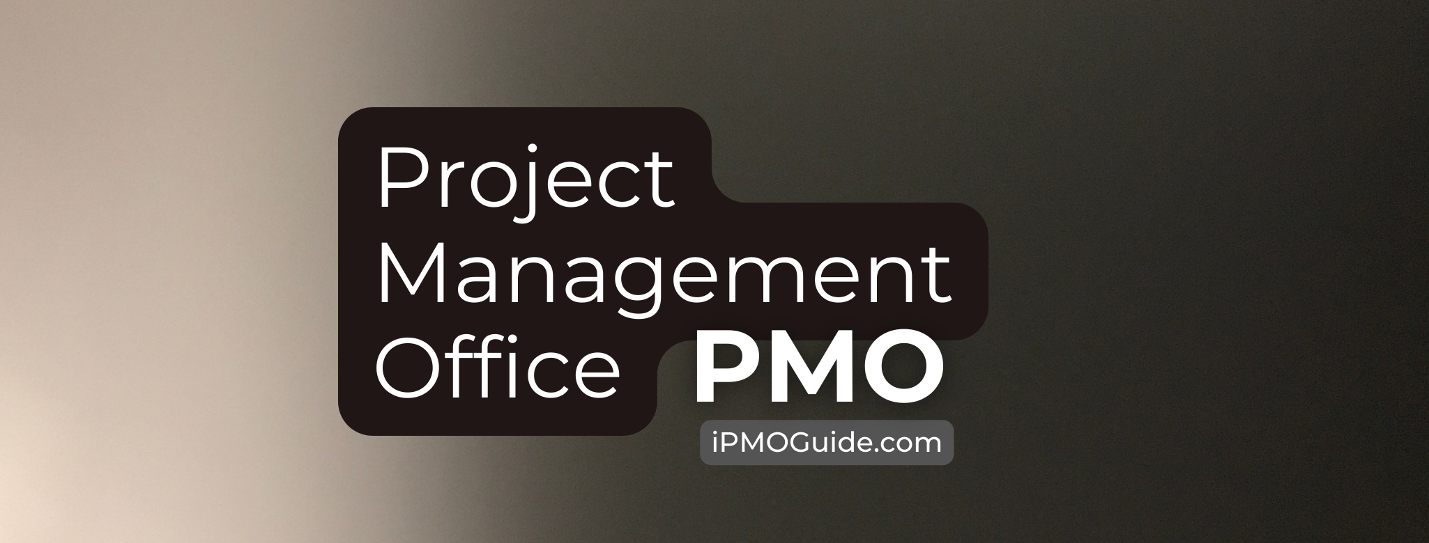 Project Management Office (PMO) - iPMOGuide