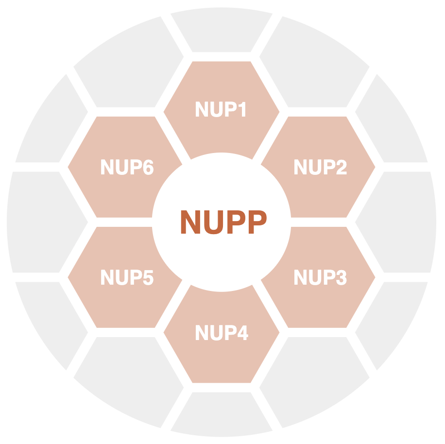 NUPP, Nearly Universal Principles of Projects - iPMOGuide