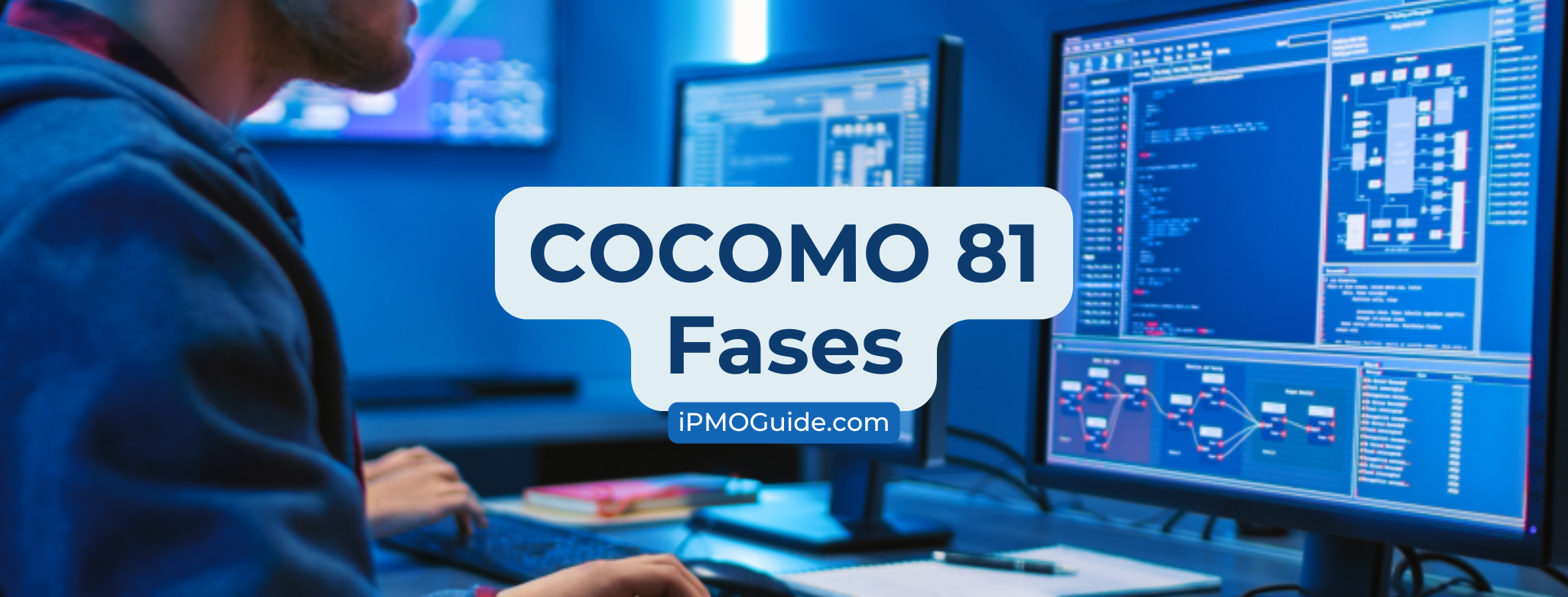 COCOMO 81, Fases - iPMOGuide