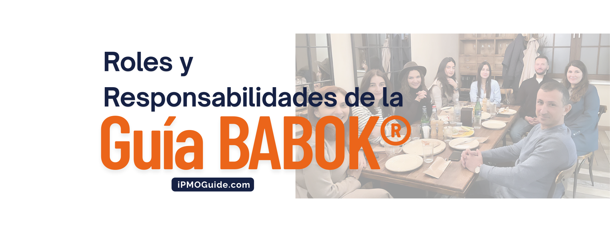 Roles y Responsabilidades de la Guia BABOK® - iPMOGuide